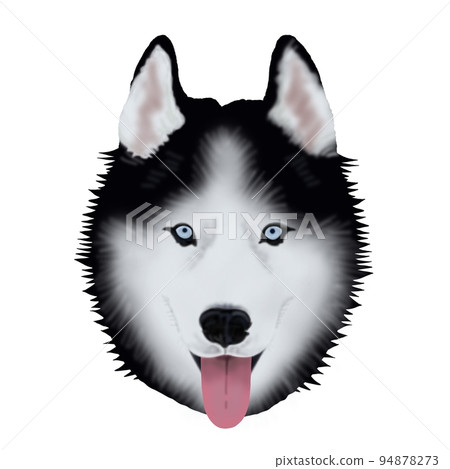 siberian husky face - Stock Illustration [94878273] - PIXTA