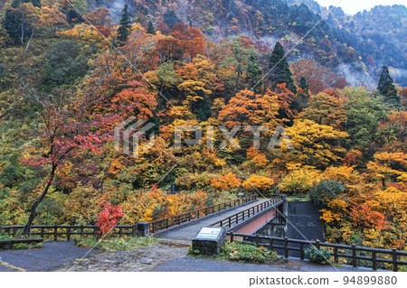 Toyama Prefecture / Autumn leaves around Shomyo... - Stock Photo ...