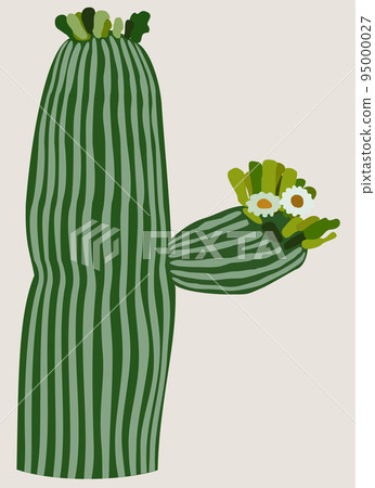 Vector simple illustration of blooming cactus... - Stock Illustration ...