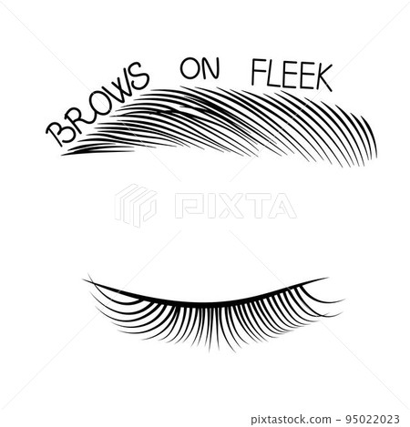 Brows On Fleek. Hand drawn lettering. Vector...-插圖素材 [95022023] - PIXTA圖庫
