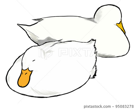 Two ducks hand-drawn illustration - Stock Illustration [95083278] - PIXTA
