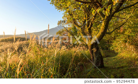 Mt. Chokai Observation Walking through the... - Stock Photo [95294478 ...