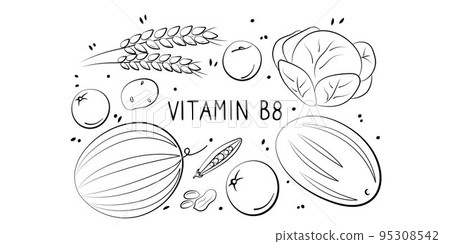 Vitamin B8 Inositol. Groups of healthy products... - Stock Illustration ...