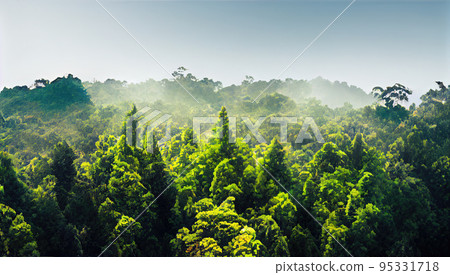 Calm green forest - Stock Illustration [95331718] - PIXTA