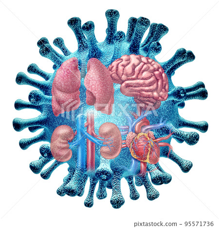 Virus Organ Infection - Stock Illustration [95571736] - PIXTA