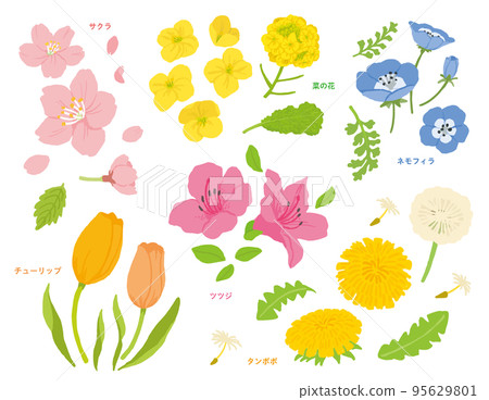 Spring flower illustration collection - Stock Illustration [95629801 ...