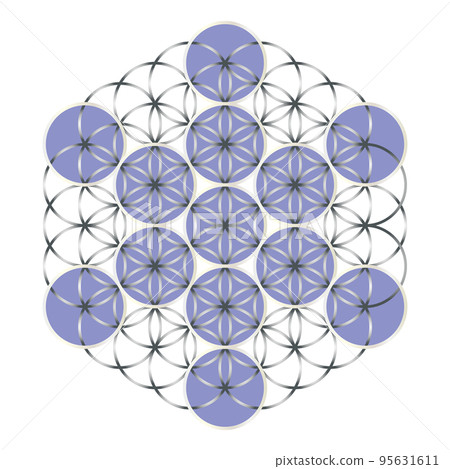 Sacred Geometry Fruit Of Life