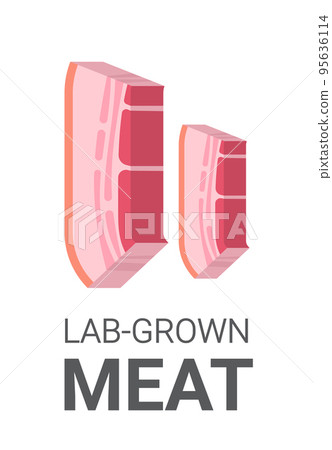 cultured raw red meat bacon made from animal... - Stock Illustration ...