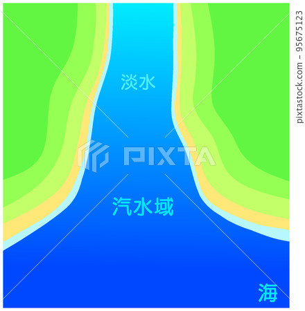 Brackish water - Stock Illustration [95675123] - PIXTA