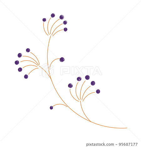 Rowan sprig with berries and no leaves - Stock Illustration [95687177 ...