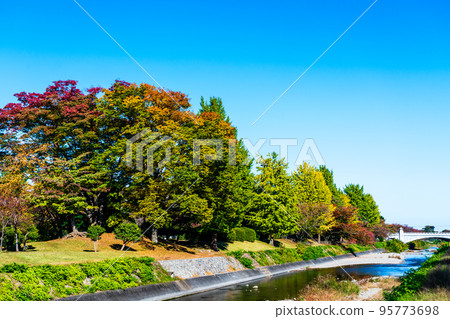Ryonan Park with autumn colors in Tokyo - Stock Photo [95773698] - PIXTA