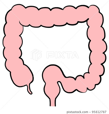 Cartoon Large Intestine