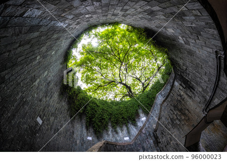 fort canning tree tunnel - Stock Photo [96000023] - PIXTA