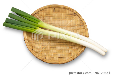 Long onion green onion - Stock Illustration [96129831] - PIXTA