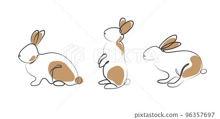 Rabbit Drawings Step By Step