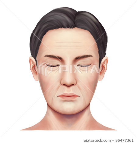 Front face illustration of a realistic... - Stock Illustration [96477361] - PIXTA