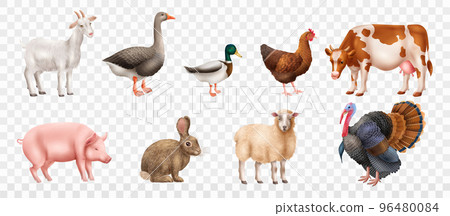 Farm Animals Set - Stock Illustration [96480084] - PIXTA