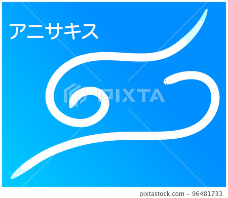 Anisakis - Stock Illustration [96481733] - PIXTA