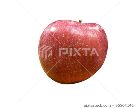 apple, fruit, nuki - Stock Illustration [96504146] - PIXTA