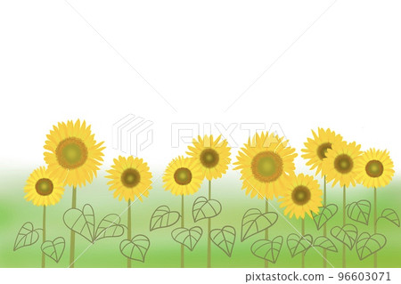 A simple illustration designing a sunflower... - Stock Illustration ...