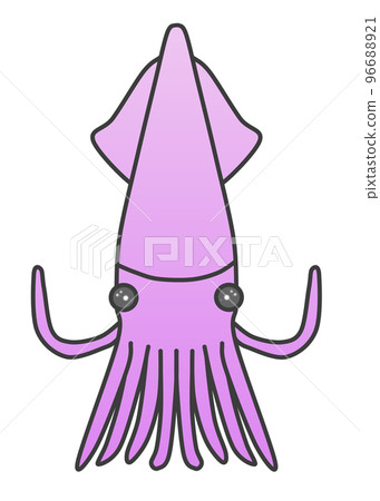 Squid (purple) - Stock Illustration [96688921] - PIXTA