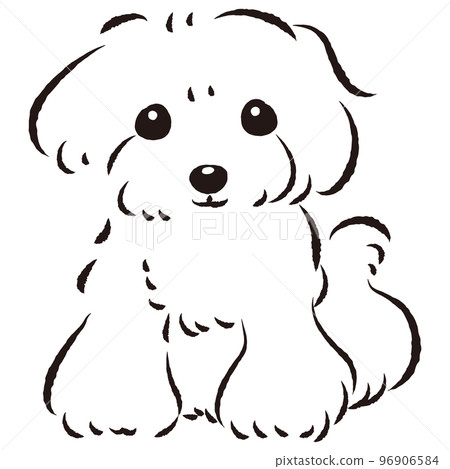 Simple and cute toy poodle hand-drawn line... - Stock Illustration ...