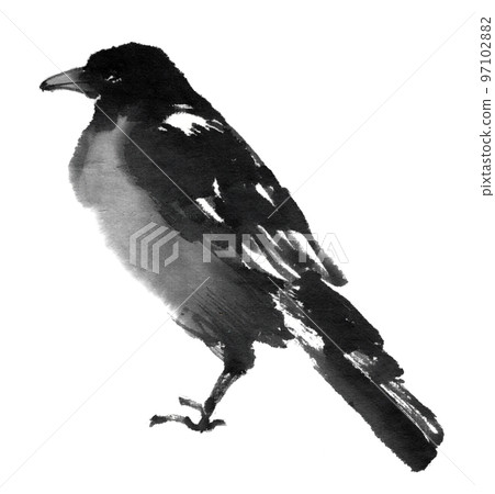 A raven drawn with ink painting technique - Stock Illustration ...