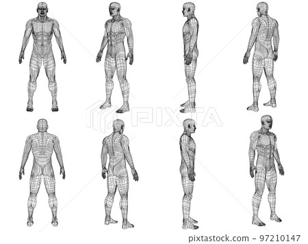 Human male naked human body CG material - Stock Illustration [97210147 ...