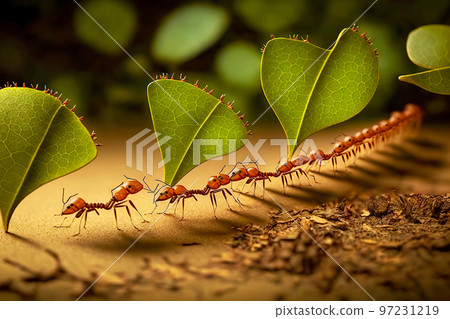 String of small red ants carrying leaves into... - Stock Illustration ...
