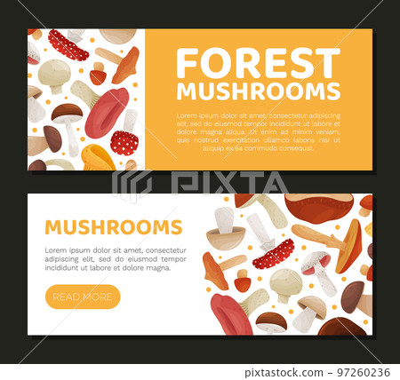 Mushroom Banner Design with Edible Agaric... - Stock Illustration ...