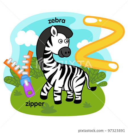 Alphabet Isolated Letter Z-zebra-zipper... - Stock Illustration ...