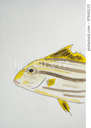 Large collection of Okinawan fish - Stock Illustration [97640225] - PIXTA