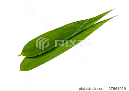 Cut-out material Beautiful bamboo leaves - Stock Illustration [97665039 ...