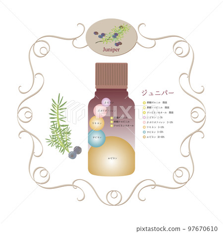 Composition table of juniper essential oil... - Stock Illustration ...