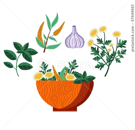 Homeopathic Plants Wooden Bowl with Herbs - Stock Illustration ...