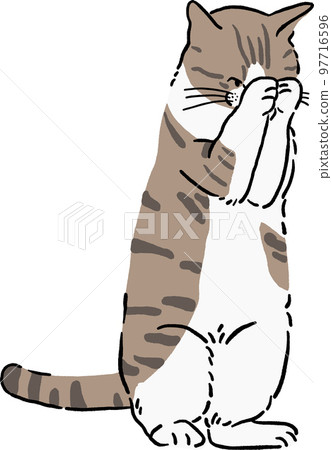 Cat begging Funny action Color illustration-插圖素材 [97716596] - PIXTA圖庫