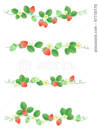 strawberry vine illustration - Stock Illustration [97738378] - PIXTA