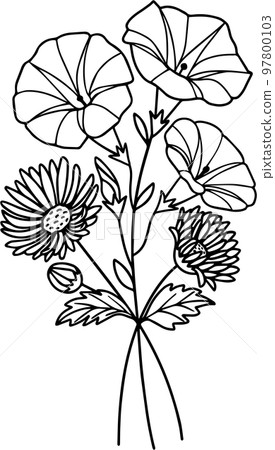 September birth flower bouquet - Stock Illustration [97800103] - PIXTA