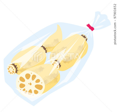 Vegetable illustration lotus root packed in a bag - Stock Illustration ...