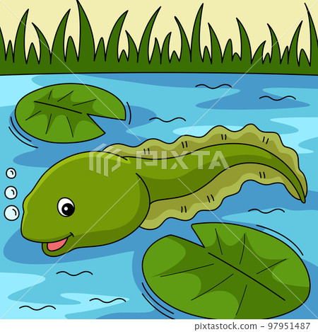Tadpole Animal Colored Cartoon Illustration - Stock Illustration ...