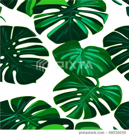 green monstera pattern white background. exotic... - Stock Illustration ...