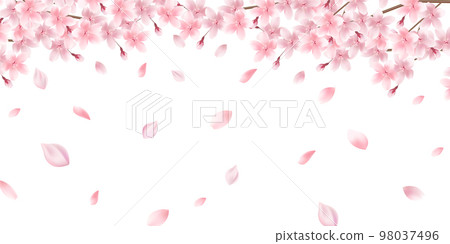 Sakura spring landscape background - Stock Illustration [98037496] - PIXTA