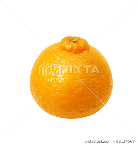 Dekopon illustration real - Stock Illustration [98124567] - PIXTA
