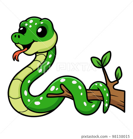 Cute green tree python cartoon on tree branch-插圖素材 [98138015] - PIXTA圖庫