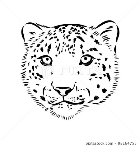 Snow White Face Outline