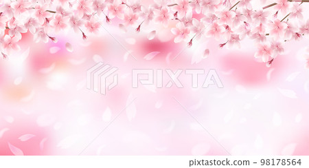Sakura spring landscape background - Stock Illustration [98178564] - PIXTA