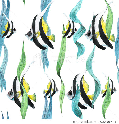 Bright, striped, tropical fish with seaweed.... - Stock Illustration ...