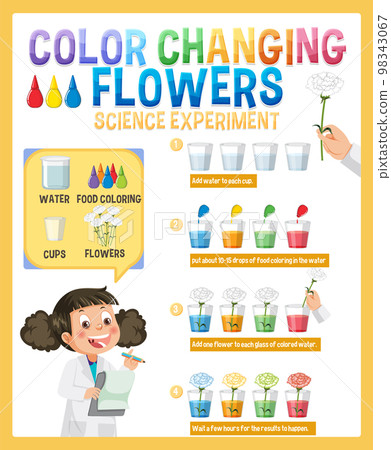 Color Changing Carnations Science Experiment 100 Days Of Science #30: