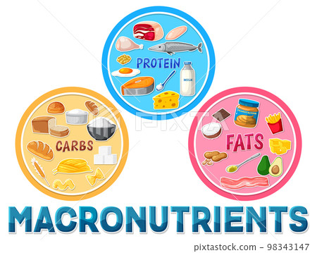 Macronutrients diagram with food ingredients - Stock Illustration ...