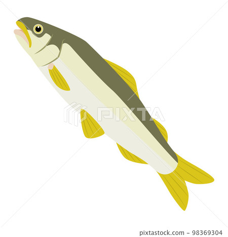 Ayu Illustration - Stock Illustration [98369304] - PIXTA